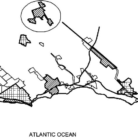Appearance Frequency Of Taenia Spp Echinococcus Spp Ova In 226 Download Scientific Diagram