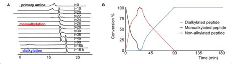 The Kinetic Pattern Of The Reductive Alkylation Of Arginine With