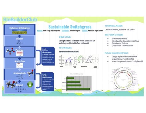 Sustainable Switchgrass Biobuilderclub Project Library