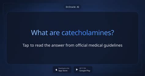 What Are Catecholamines