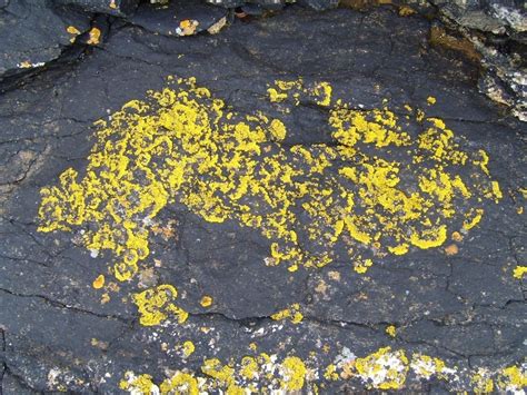 Free picture: wetstone, pattern