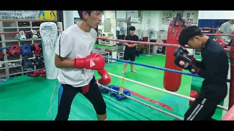 세계챔피언배출 대학교수관장지도 포항권투김진수 중1박지혁 지도스파링 Youtube