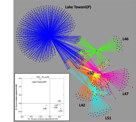 Operational Taxonomic Unit Otu Network Map Showing Otu Interactions