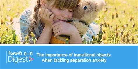 The Importance Of Transitional Objects When Tackling Separation Anxiety