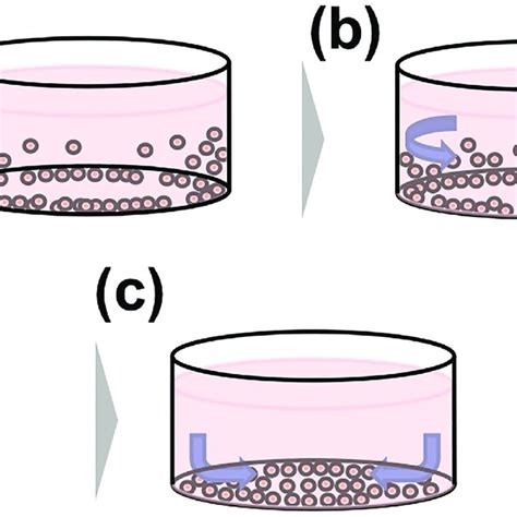 Concept Of The Cell Density Homogenization Method Using Ekman