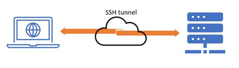 Build Your Own Ngrok Alternative Oivlab