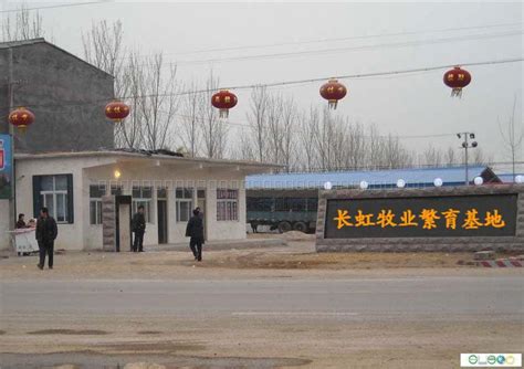 肉牛肉羊肉驴 司林华