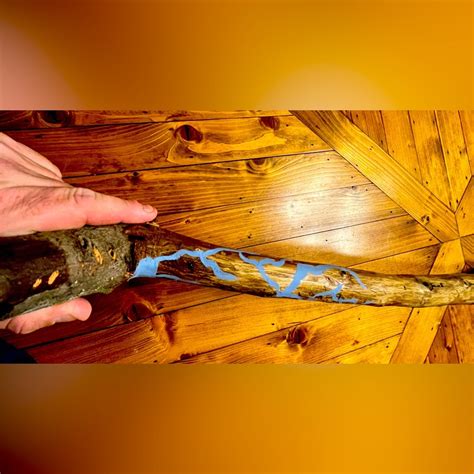 Magnolia Sticks Walking Stick Hiking Stick Gem