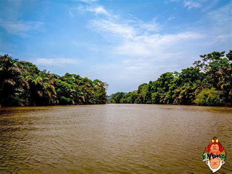 Lost In Luxury In Tortuguero National Park Costa Rica
