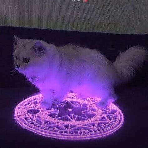 Cloudz ᓚᘏᗢ Youtube