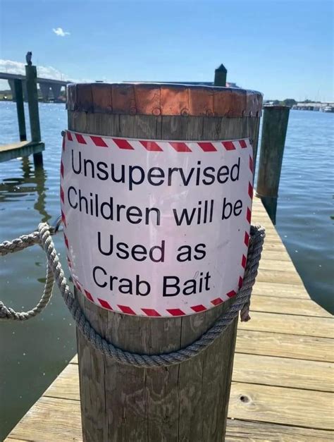 25 Incredibly Blursed Images That Are An Emotional Rollercoaster Know