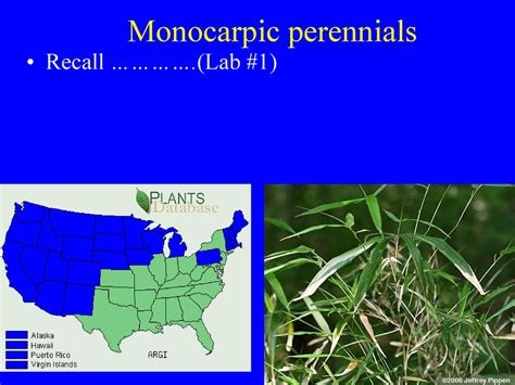Ch 8 Plant Life Histories Ppt Download