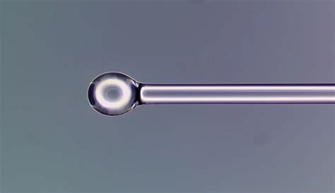 Full Ball Lensed Fiber Manufacturer Photonstream