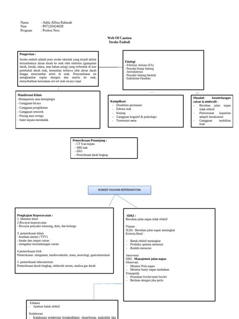 Woc Stroke Emboli Pdf