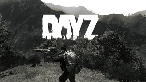 Dayz Every Sickness Explained Cause Symptoms And Cure