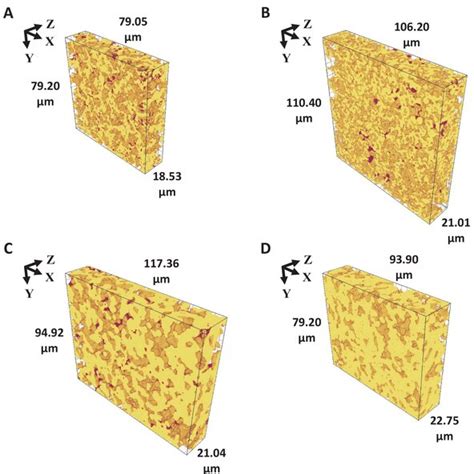 A Geometric Tortuosity Is Defined As The Ratio Of The Pathway Length
