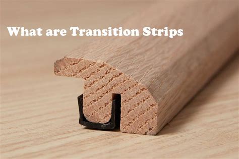 What Are Transition Strips • Dex Flooring