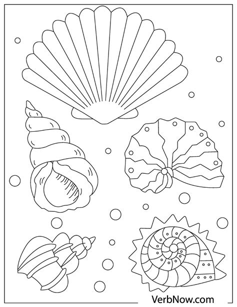 22 Free Shell Coloring Pages For Download Printable Pdf