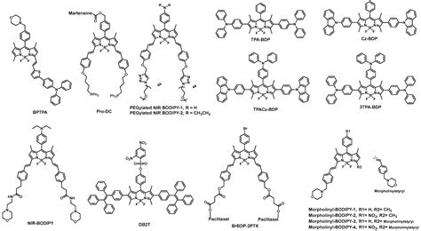 Bodipy Based Molecules For Biomedical Applications