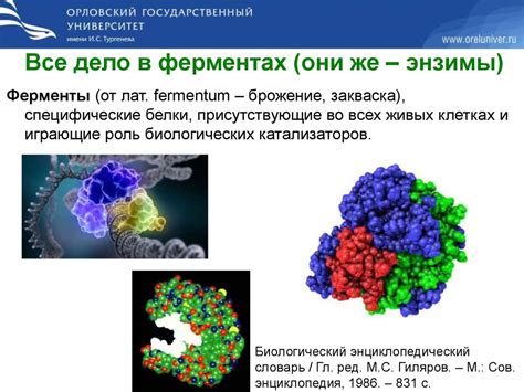 БиоКвест-2019 - презентация онлайн
