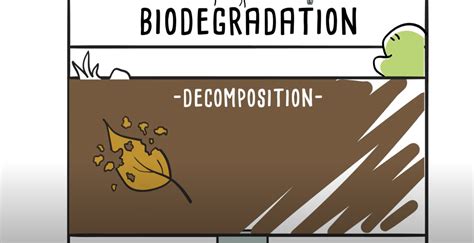 Biodegradation And Composting A Video Session To Discover Their