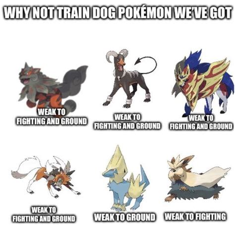 26 Pokémon Memes For Fans To Catch Em All Know Your Meme