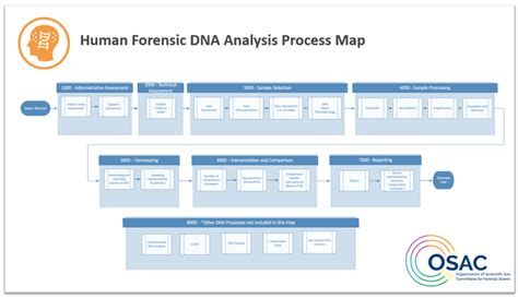 Osacs Human Forensic Biology Subcommittee Develops Dna Analysis