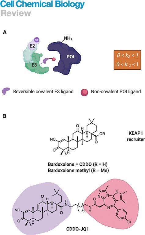 Figure 7 From The Role Of Reversible And Irreversible Covalent