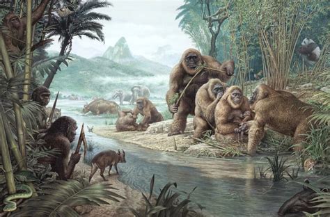 Gigantopithecus Bones