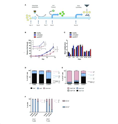 A T Cell Expansion Protocol After An Initial Plastic Adherence Download Scientific Diagram