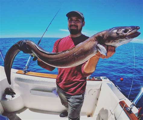 Pesca Un Enorme Congrio En Las Costas Onubenses