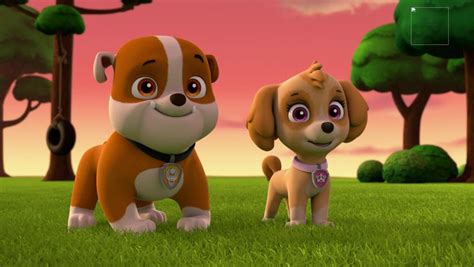 Paw Patrol La Patpatrouille Série Replay Et Vidéos En Streaming