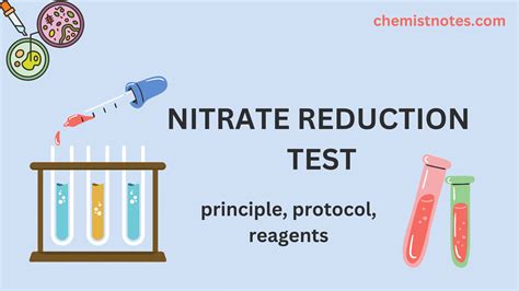 Nitrate Reduction Test Principle Protocol And Reliable Application Chemistry Notes