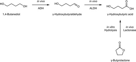 Fatal Intoxication With 14‐butanediol Case Report And Comprehensive
