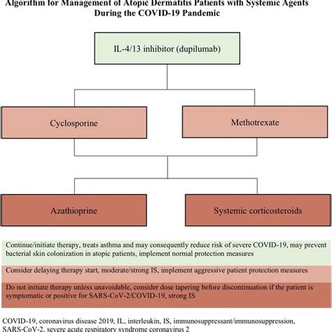 Proposed Treatment Algorithm Of Systemically Treated Atopic Dermatitis