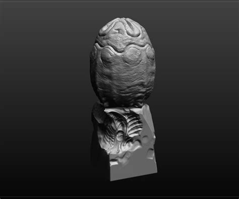 Artstation Ovomorph Zbrush Sculpt Game Assets