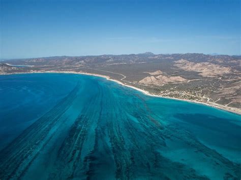 Cabo Pulmo El Parque Nacional Que Recupera El 460 De Su Biomasa