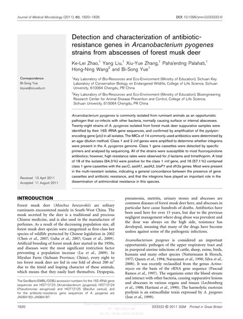 Pdf Detection And Characterization Of Antibiotic Resistance Genes In