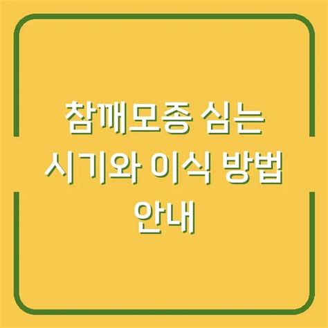 참깨모종 심는 시기와 이식 방법 안내