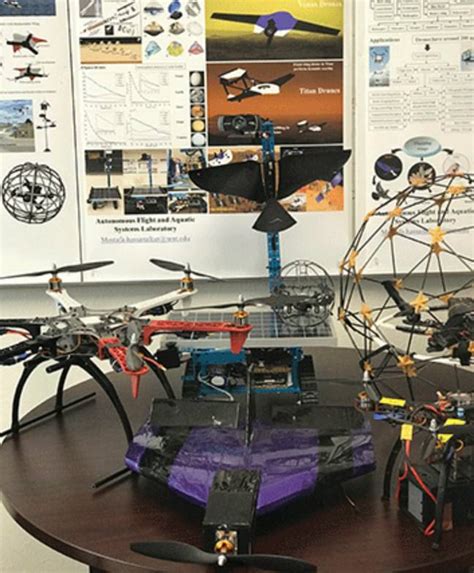 Scientists Transform Dead Birds Into Drones That Could Be Used For