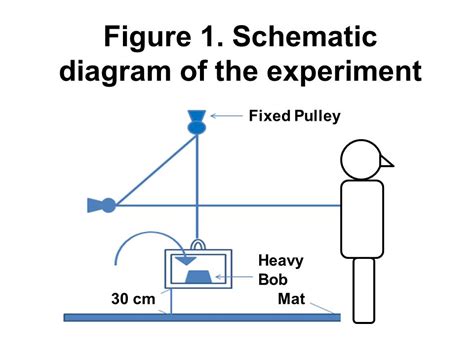 The Difference In Posture Reaction Against Backward Perturbation