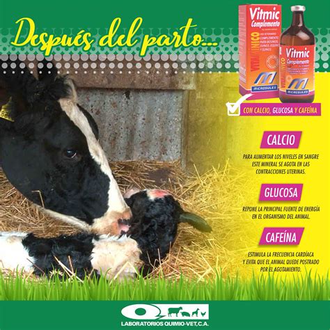 ️vitmic Complemento Además De Laboratorios Quimio Vet Facebook