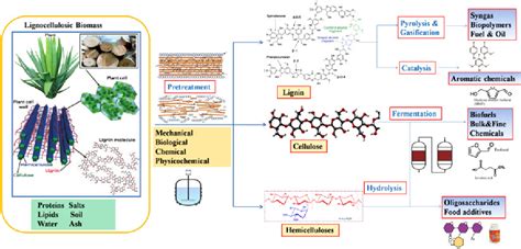 Figure 3 From Recent Applications And Innovations Of Cellulose Based