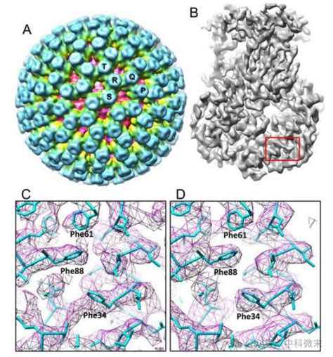 华人学者重磅综述：揭秘冷冻电镜技术 智源社区