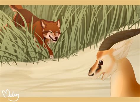 Test 1 The Stalker In The Grass By Orbz Firefly On Deviantart