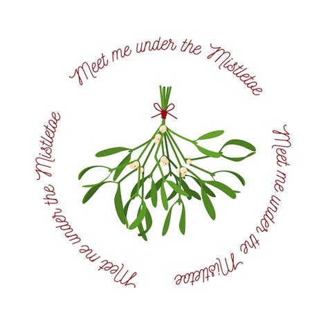 Flor De Natal Visco E Uma Frase Curta Me Encontrem Sob O Visco