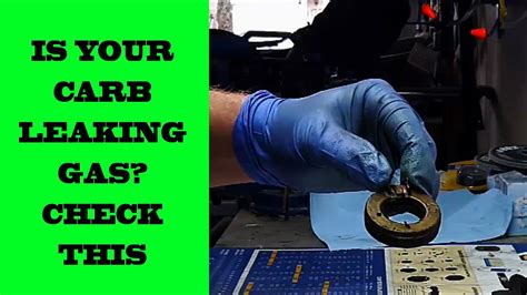 Why Are My Carbs Leaking Gas At Jonathan Hoffman Blog