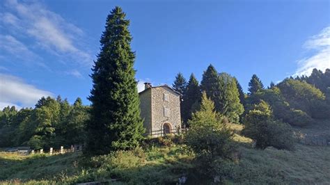 Malga Derocon Riapre E Diventa Un Punto Di Riferimento Per Lapicoltura