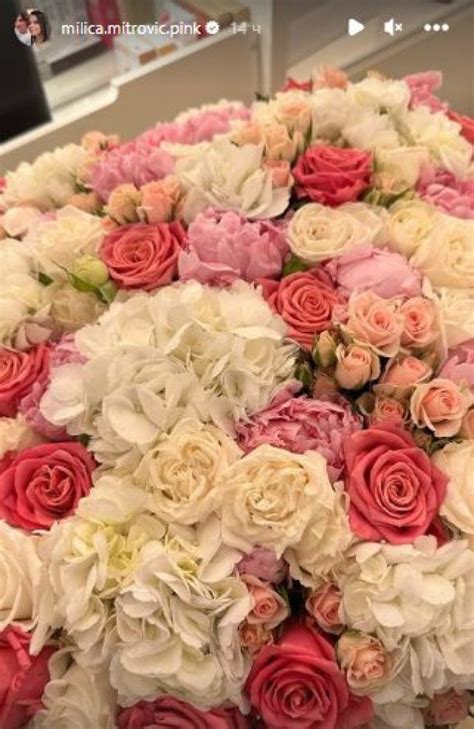 Milica I Željko Mitrović Slave Božić U Londonu