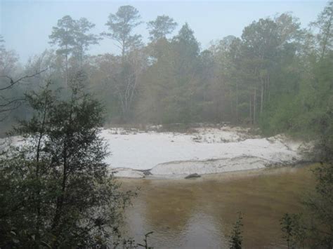 Florida Trail Blackwater Wiregrass Trail Florida Hikes